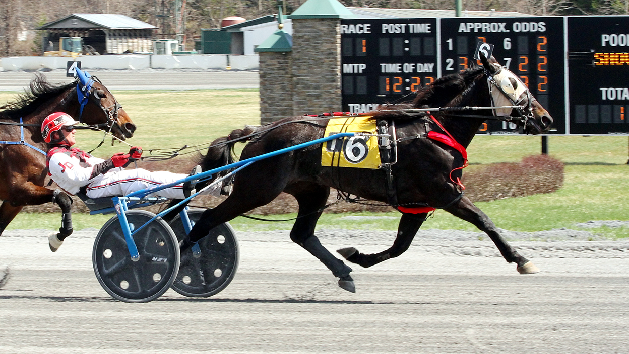 Anja & Jim Devaux - Saratoga NY