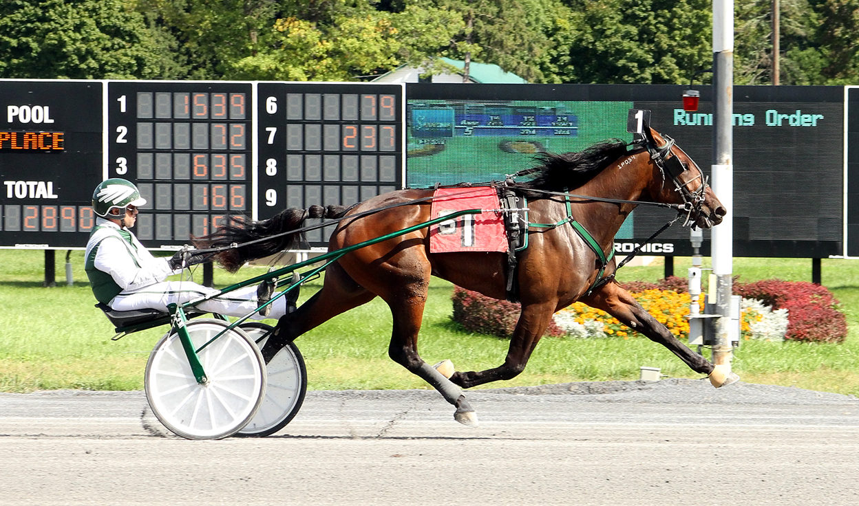 Woodside Charm & Verlin Yoder - Saratoga NY