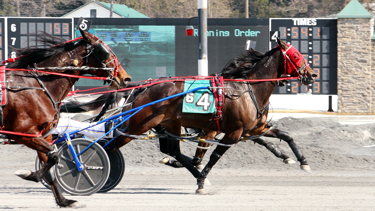 Annabeth & Shawn Gray - Saratoga NY