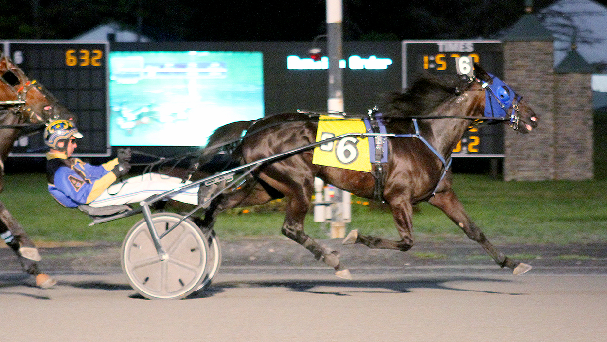 Victoria Swan & Bruce Aldrich Jr - Saratoga NY