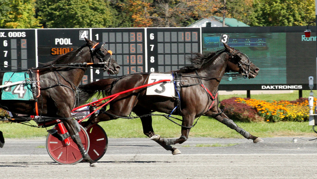 Bye Bye Felicia & Mark Beckwith - Saratoga NY