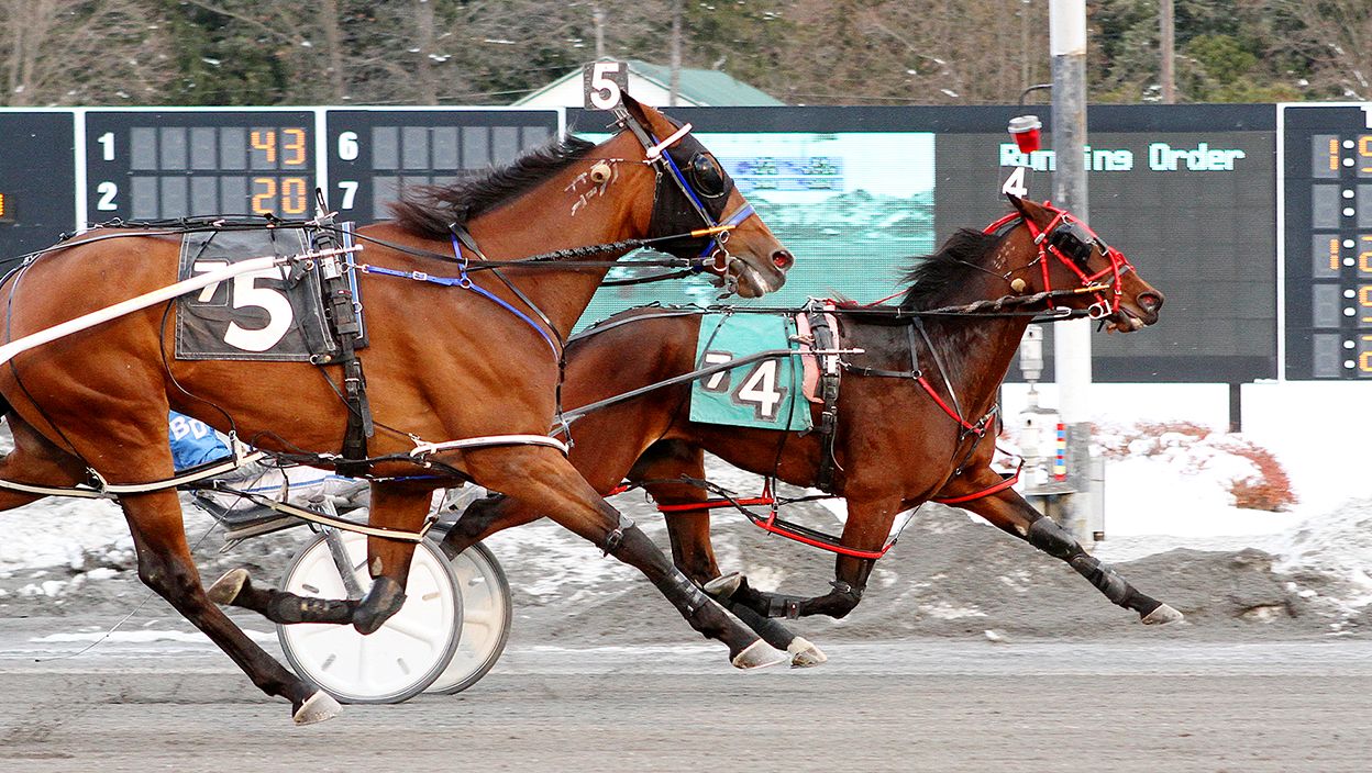 Lady Dela Renta A & Billy Dobson - Saratoga NY