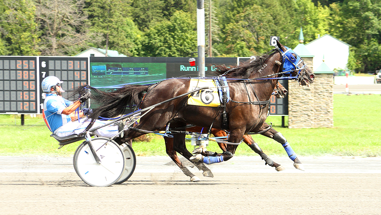 Gokudo Hanover & Billy Dobson - Saratoga NY