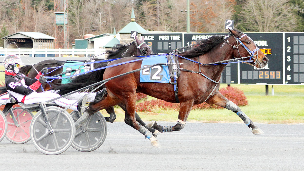 Im Not Vanilla & Brett Beckwith - Saratoga NY