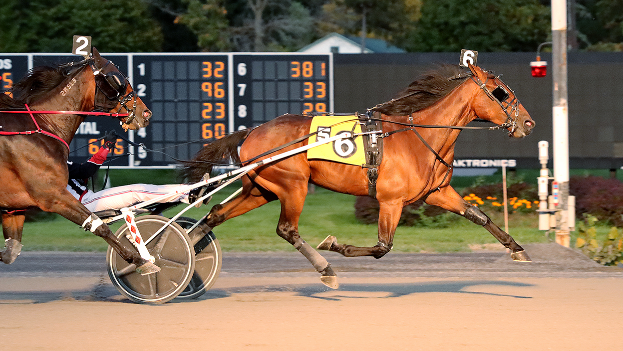 Justathriller & Brett Beckwith - Saratoga NY