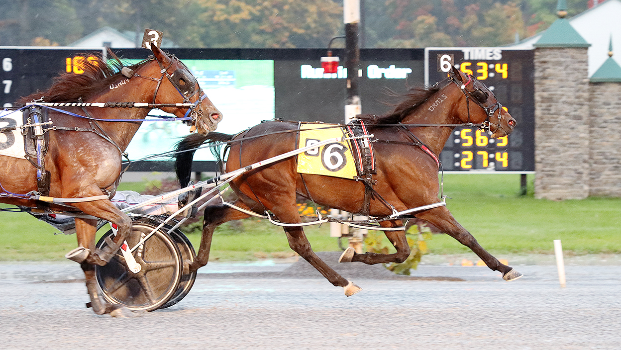 Probert & Brett Beckwith - Saratoga NY