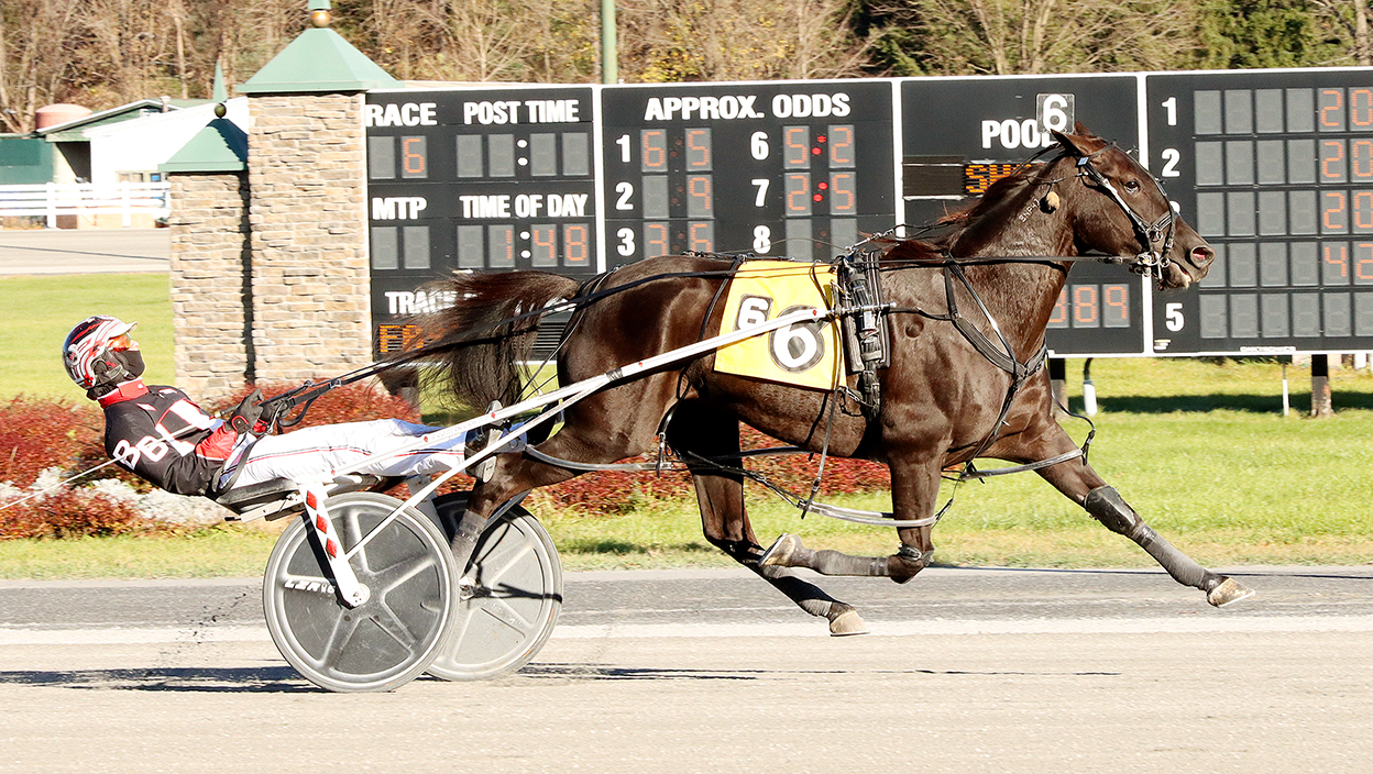 Sea Shadows & Brett Beckwith - Saratoga NY