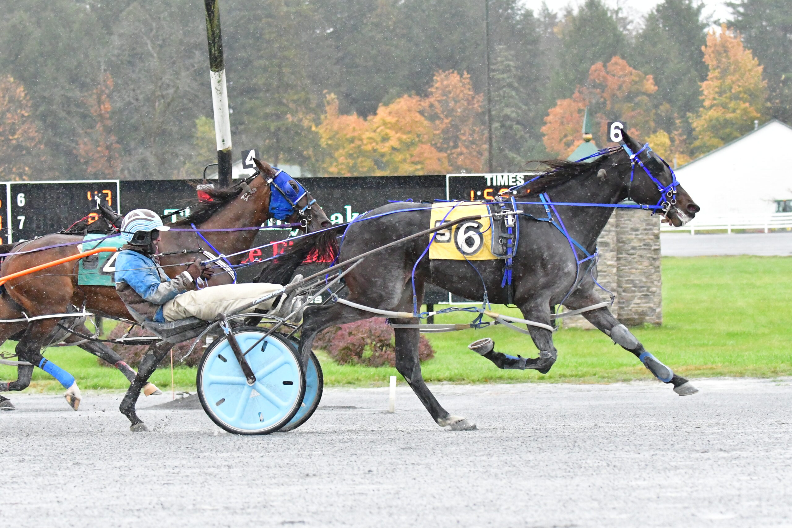 HP Mary Sunshine Wins 2023 Bunny Lake Series Final